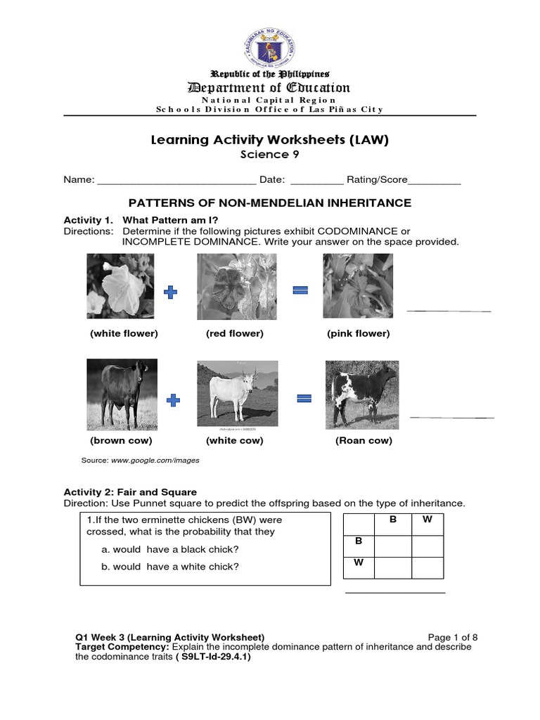 Learning Activity Worksheets Science 9 q1 Week 3 4 | PDF | Genotype ...