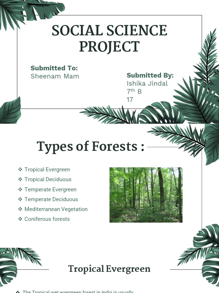 Social Science Project: Submitted To: Submitted by | PDF | Forests ...