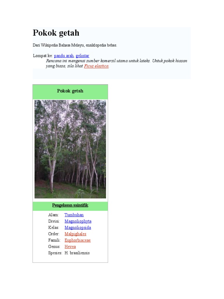 Tanaman Getah | PDF