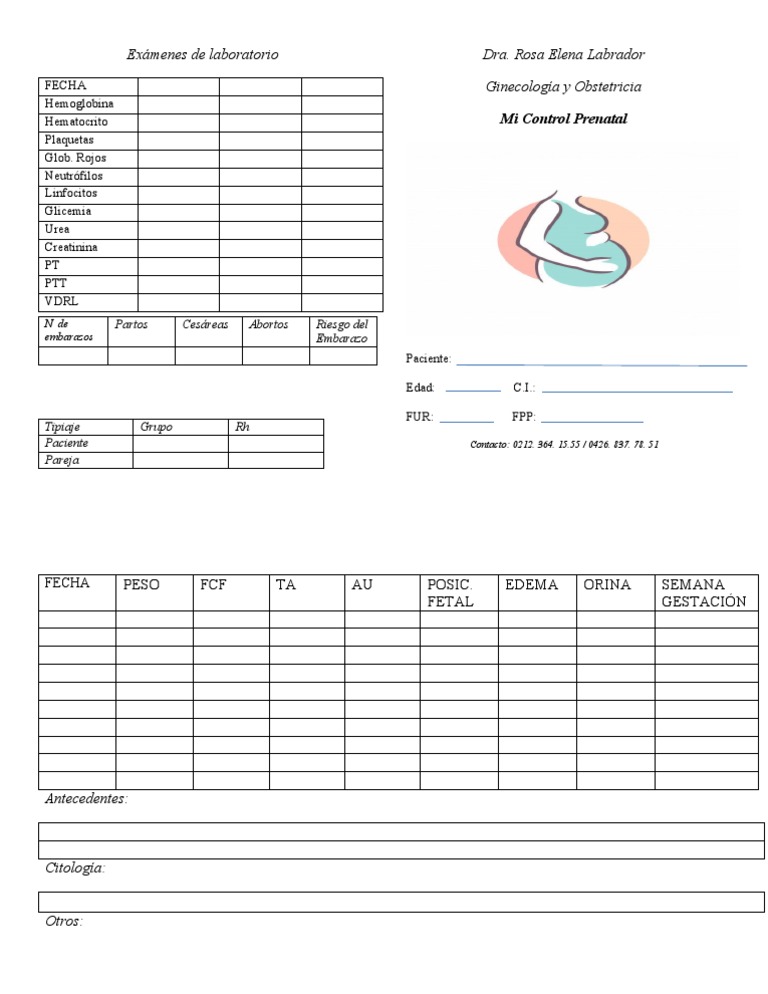 Tarjeta de Control Prenatal para Imprimir | PDF