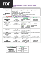 Cápsula de Glisson | PDF | Tejido adiposo | Riñón