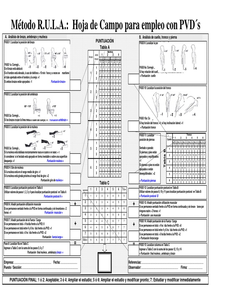 RULA Hoja de Campo-1 | PDF