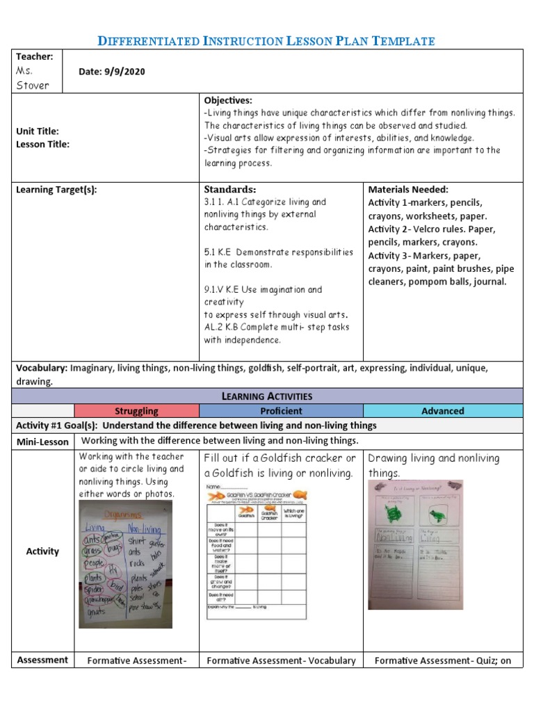 Differentiated Instruction Lesson Plan | PDF | Differentiated Instruction | Lesson Plan
