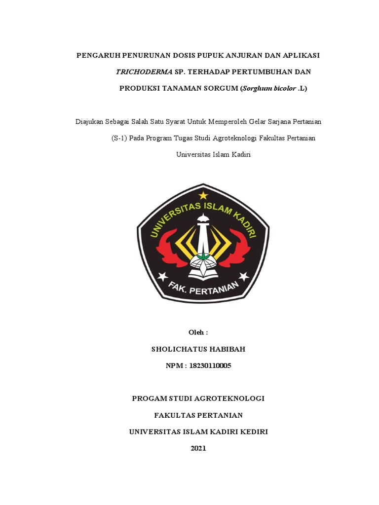 Proposal Skripsi Acc Bu Retno | PDF