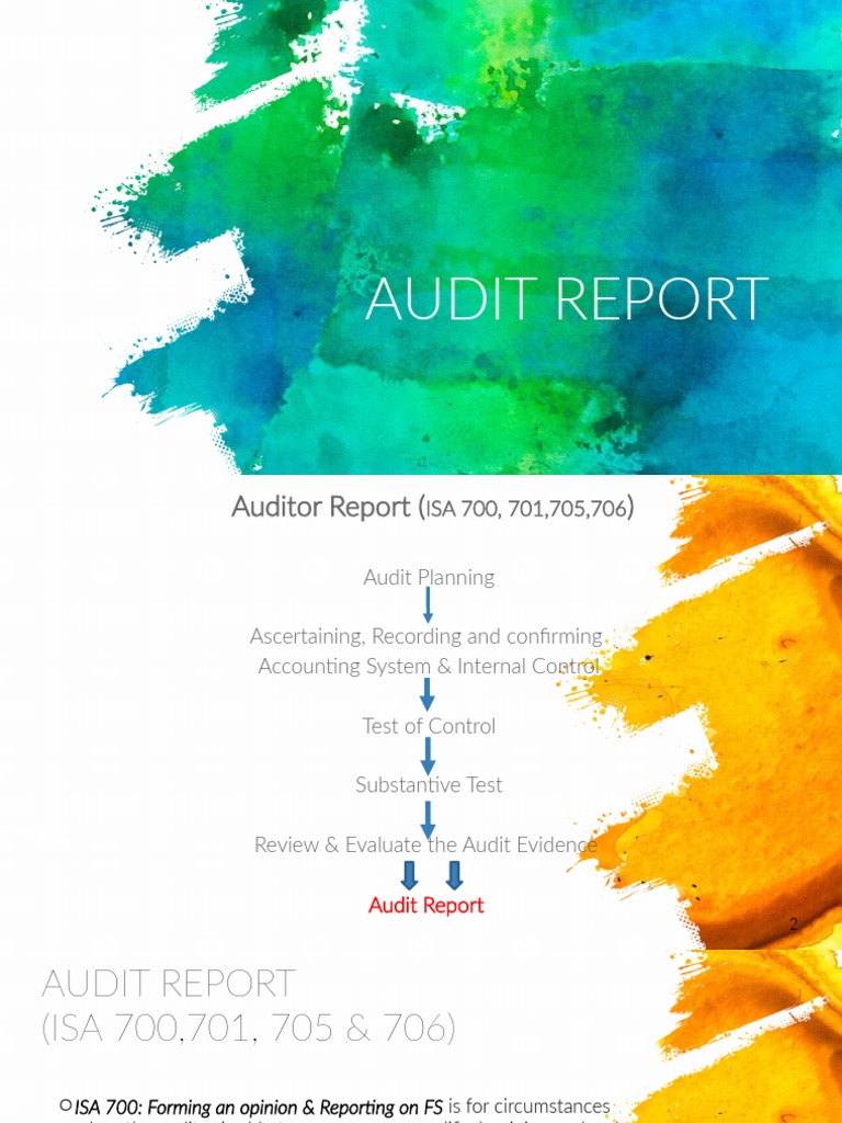 Aud339 Audit Report | PDF | Auditor's Report | Financial Audit