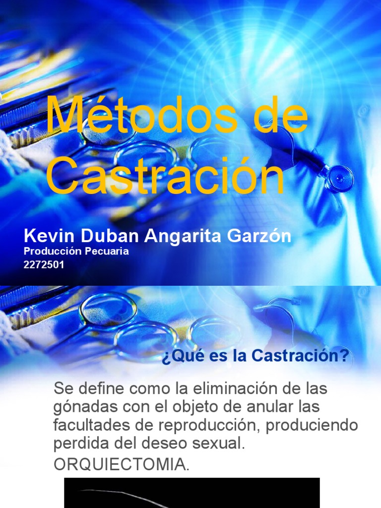 Metodos de Castracion | PDF | Testículo | Anatomia animal