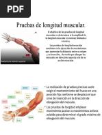 Prueba de Adams | PDF | La columna vertebral | Escoliosis