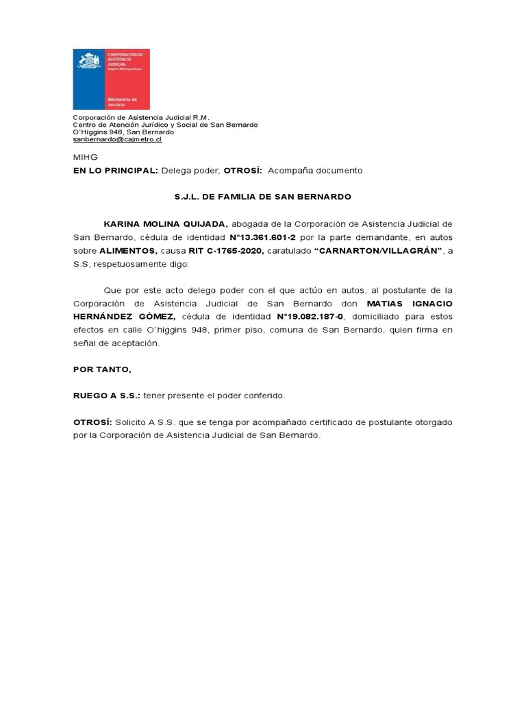 Modelo Delega Poder | PDF