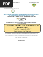 Codification de la Pyramide Sanitaire RDC | PDF | République ...