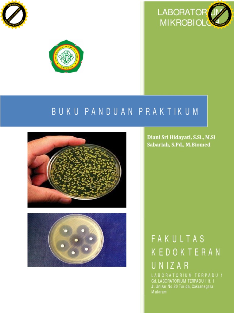 Panduan Praktikum Kultur Dan Uji Sensitivitas Antibiotik | PDF