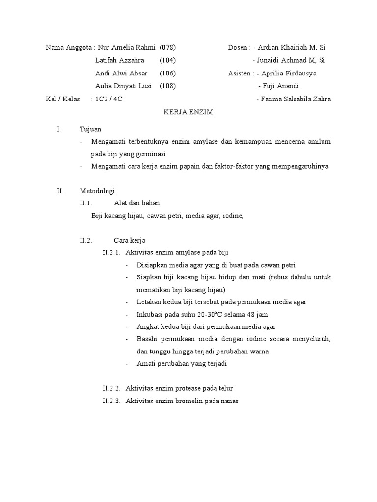 Kerja Enzim | PDF