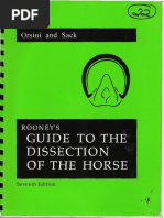 Triadan Tooth Numbering System | PDF