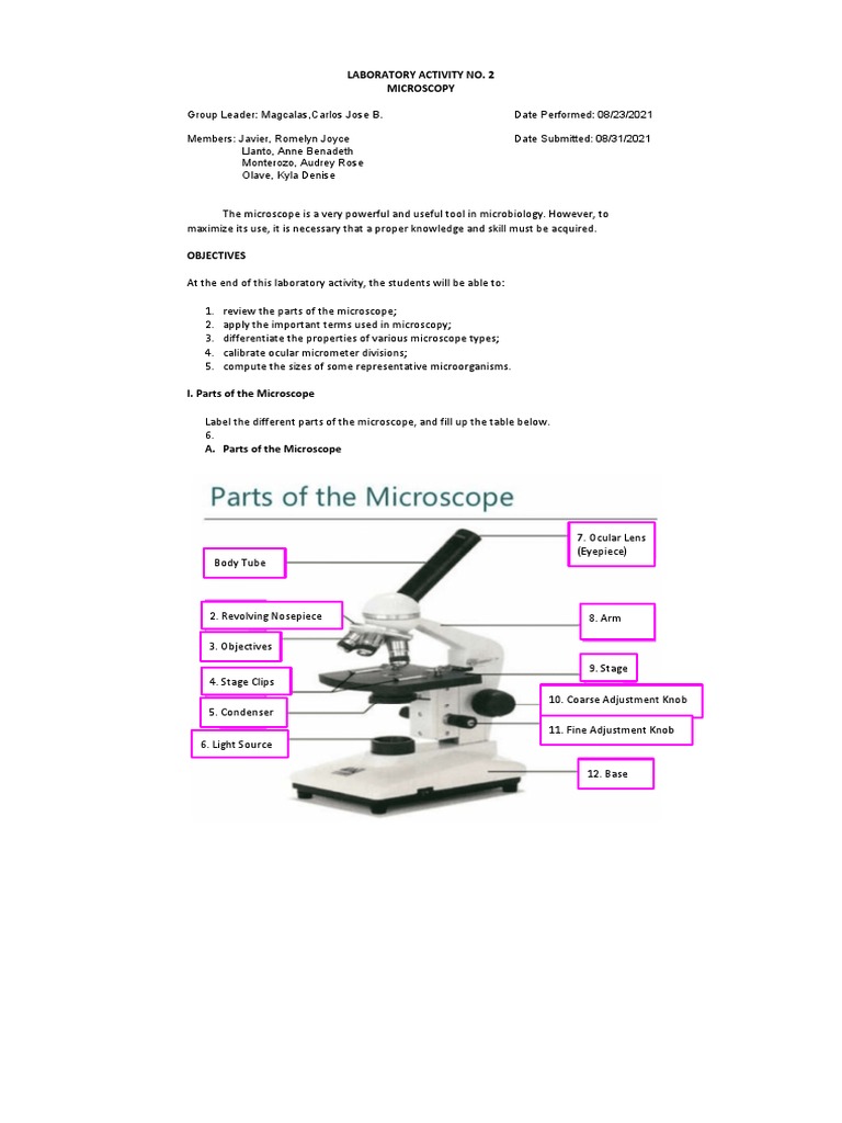GROUP 2 - BIO 201L Week 2 MICROSCOPY LAB ACTIVITY 2 - BS BIO 2103 | PDF ...