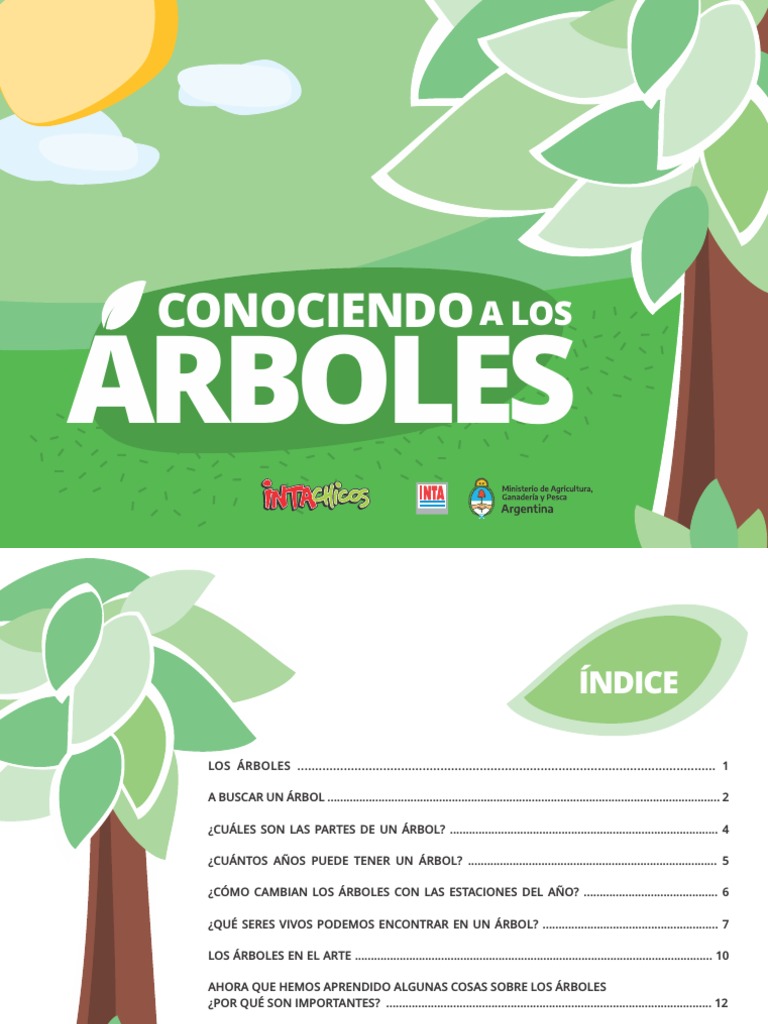 Conociendo a los árboles: una guía para explorar y aprender sobre la ...