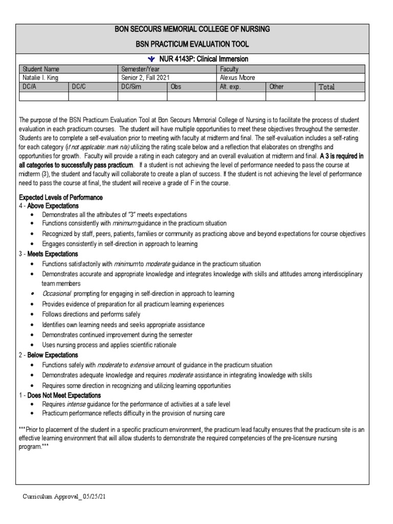 Nur4143p Practicum Evaluation Tool | PDF | Nursing | Competence (Human ...
