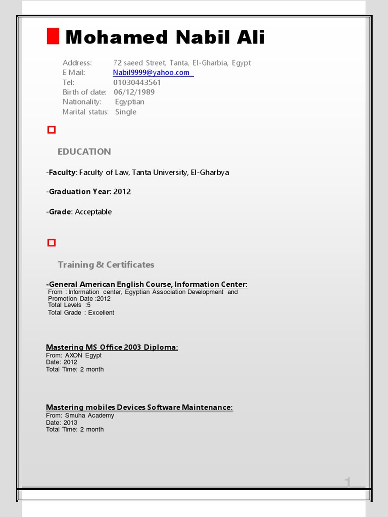 Egyptian CV for Mohamed Nabil Ali | PDF
