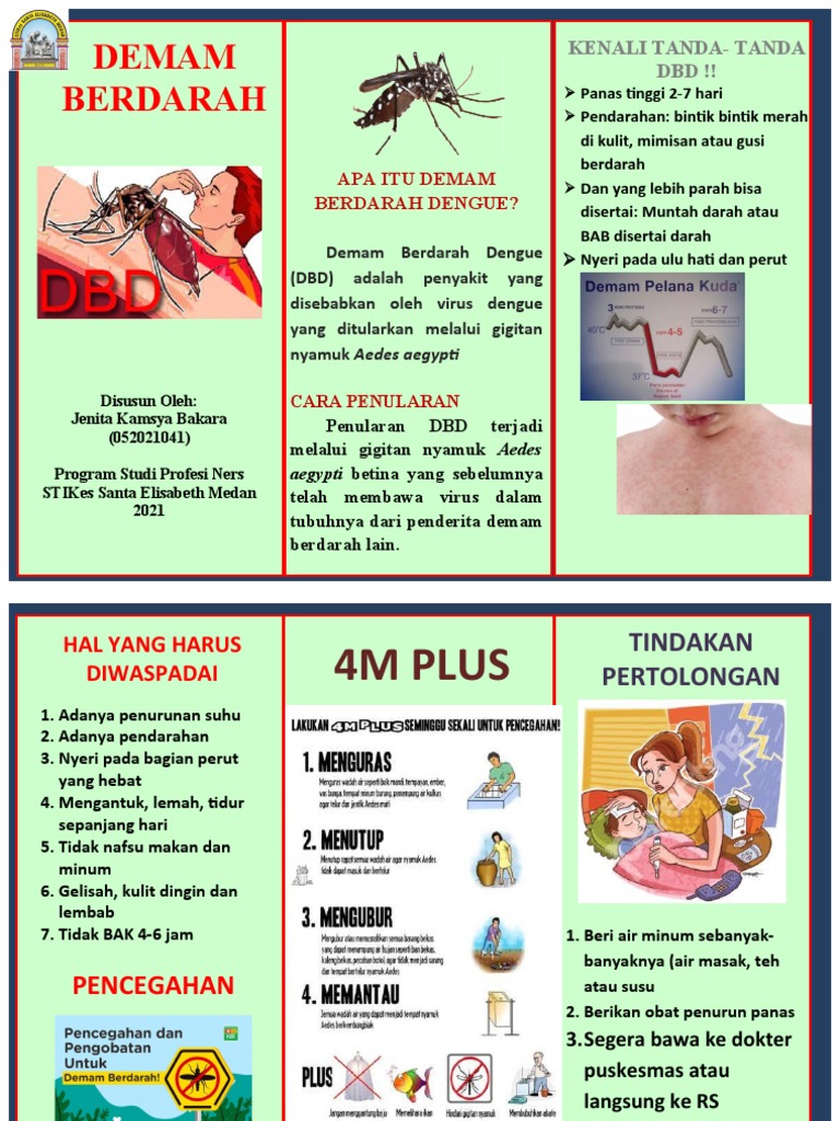 Leaflet DBD | PDF