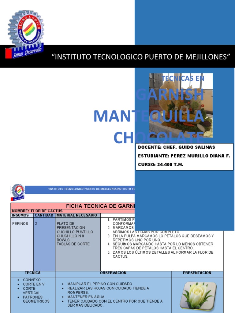 Fichas Tecnicas de Garnisch | PDF