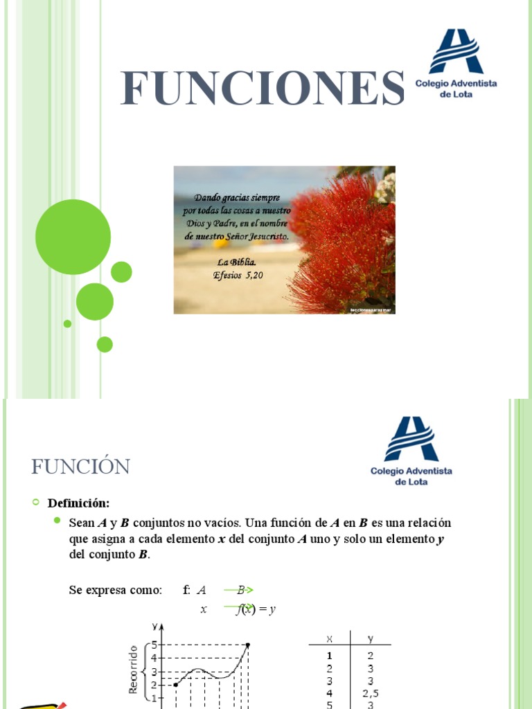 Conceptos Básicos de Funciones | PDF | Función (Matemáticas) | Conjunto ...
