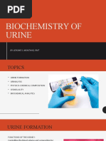 Lab Report 1 Urinalysis | PDF | Urine | Kidney