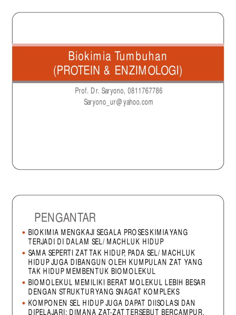 BIOKIM TUMBUHAN 8 (PROT & ENZIM) Pak Saryono | PDF