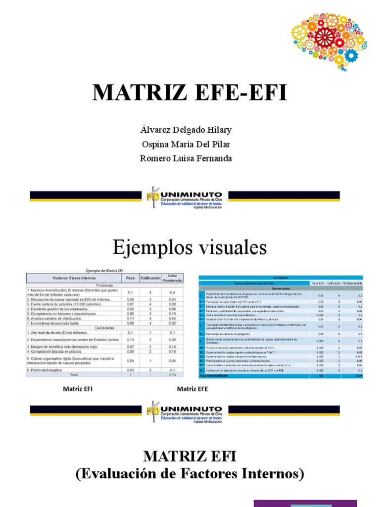 Matriz Efi - Efe | PDF | Marketing | Economias