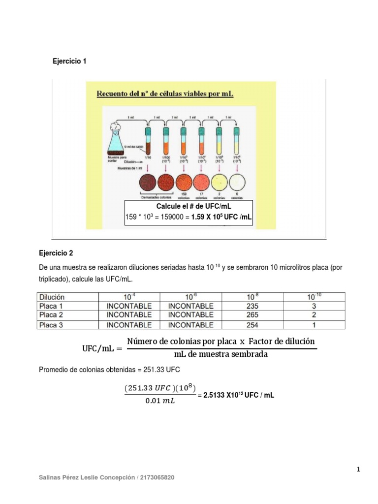 Ejercicio - Micro - 1 LESLIE SALINAS | PDF
