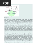 Model Bumi dan Ellipsoid Geodetik | PDF