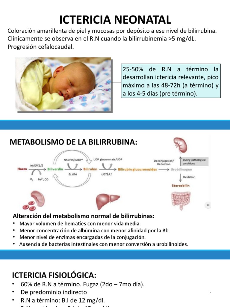 Ictericia Neonatal: Causas, Clínica y Manejo | PDF | Especialidades Medicas | Enfermedades y ...