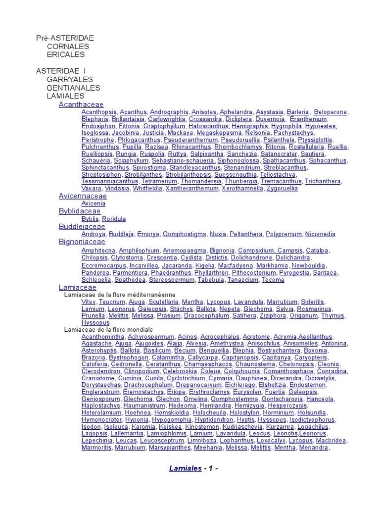 Lamiales | PDF | Plants