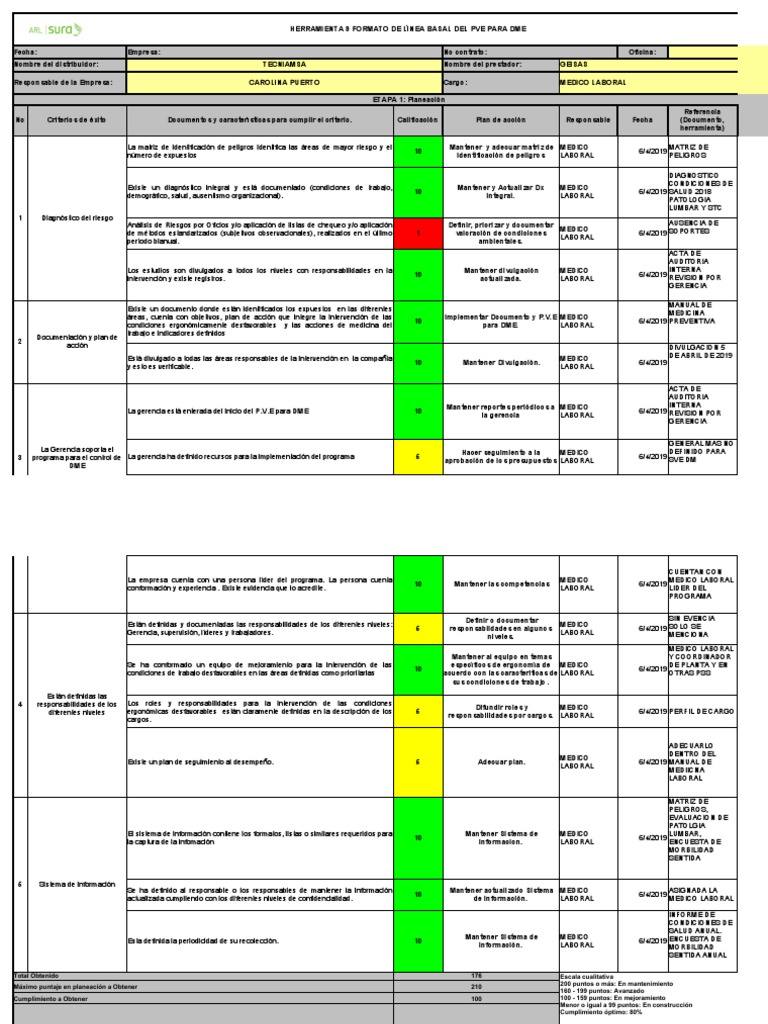 Formato Línea Basal DME TECNIAMSA | PDF | Auditoría | Ciencias de la Salud