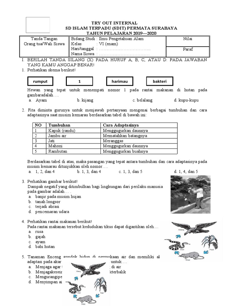 IPA Paket 1 | PDF