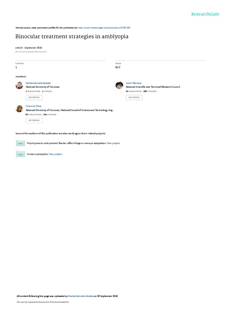 Binocular Treatment Strategies in Amblyopia | PDF | Realidad virtual | Visión