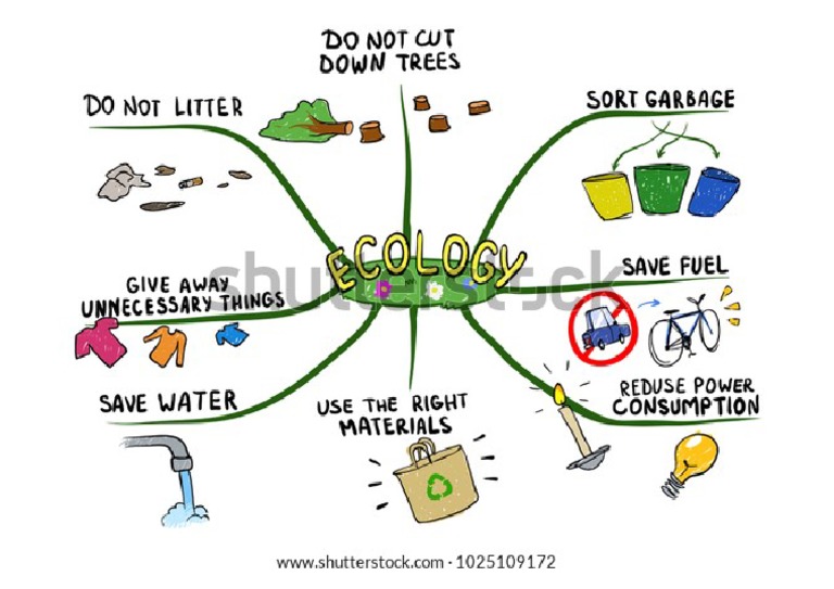 Ecology Mind Map Pdf