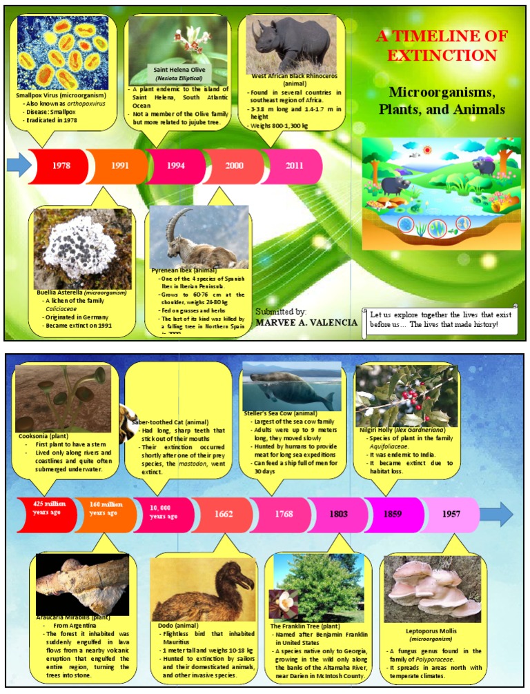 A Timeline of Extinction (Brochure) | PDF | Extinction | Organisms