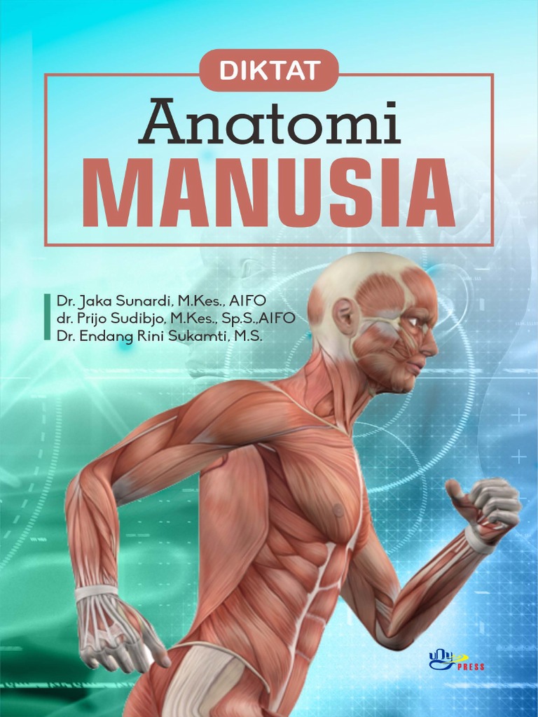 Anatomi Manusia Pdf