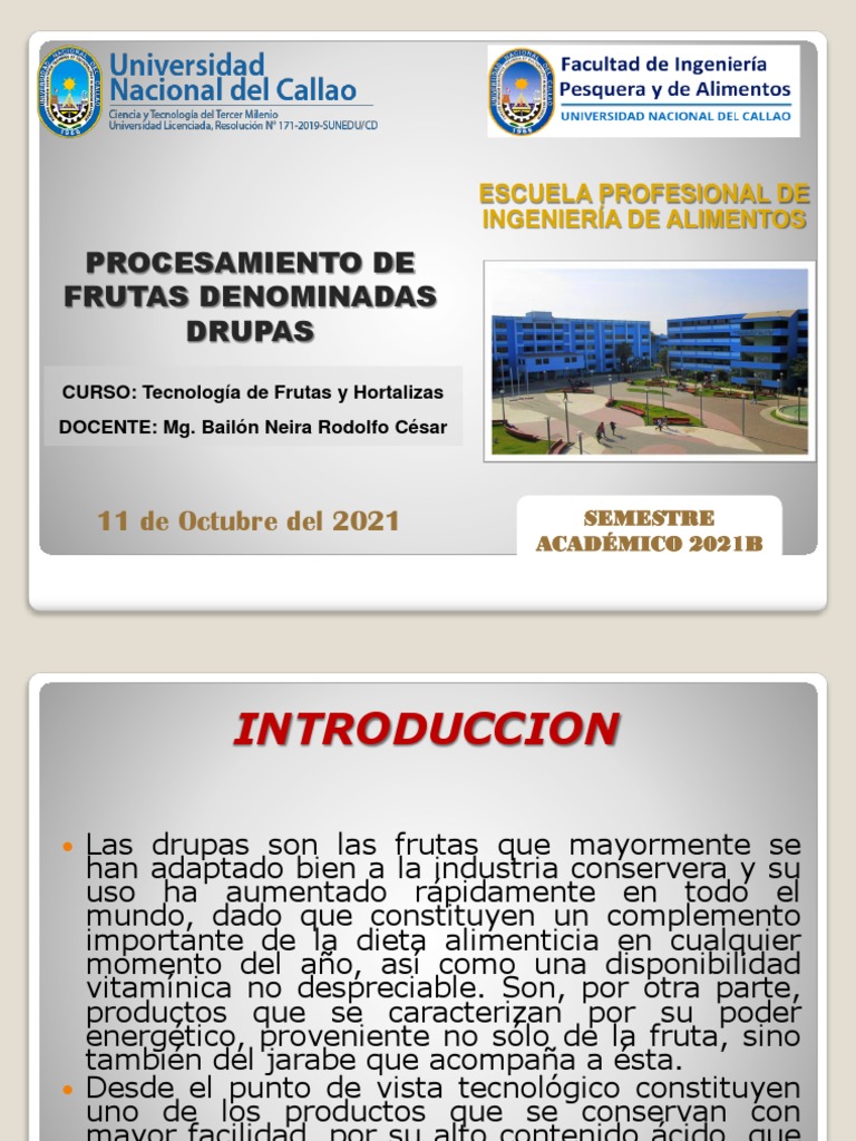 Drupas | Descargar gratis PDF | melocotón | Mango