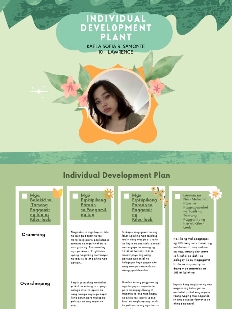 Individual Development Plan | PDF