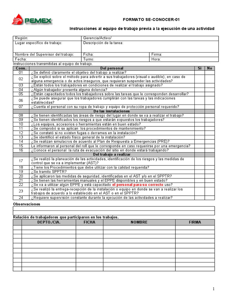 Formato de Se Conocer 01 | PDF