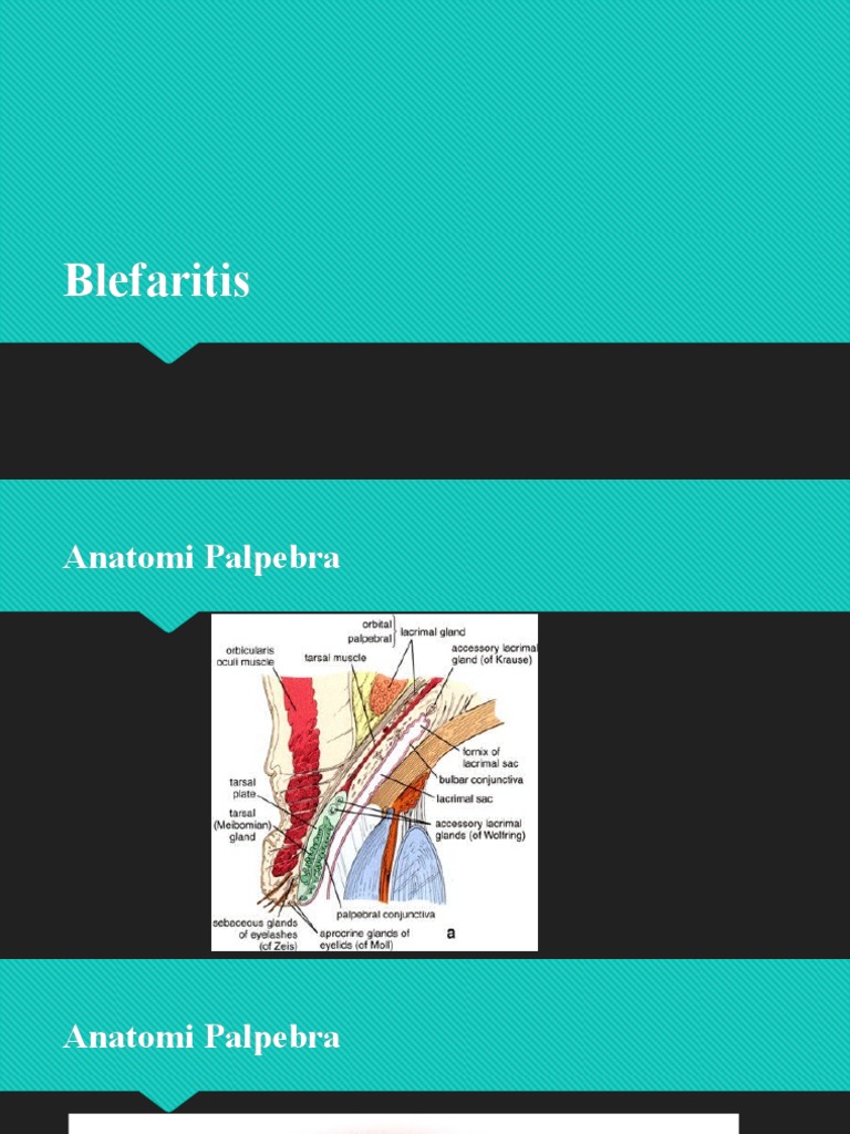 PPT1 Blefaritis | PDF