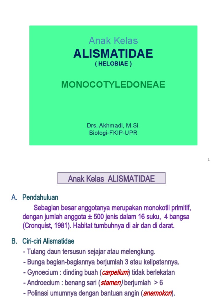 Alismatidae + Arecidae | PDF | Griya & Taman | Sains & Matematika
