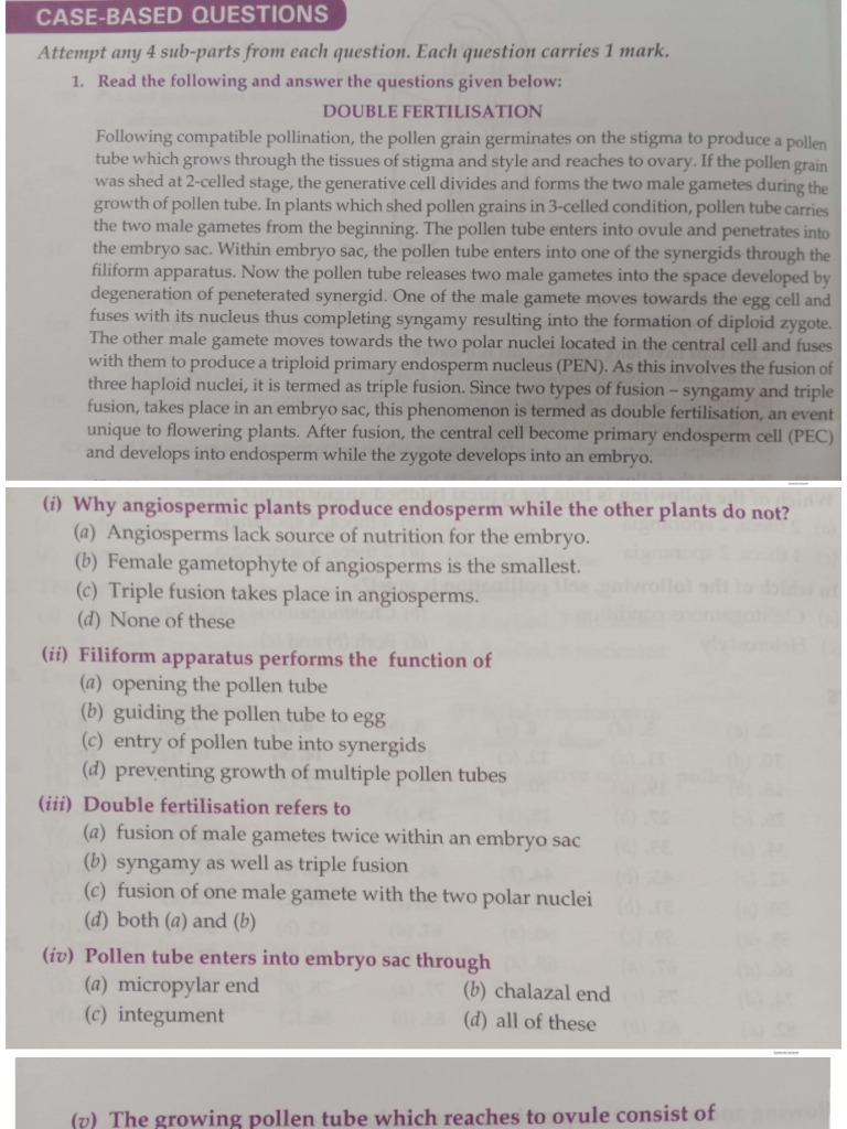 Case Based Questions | PDF