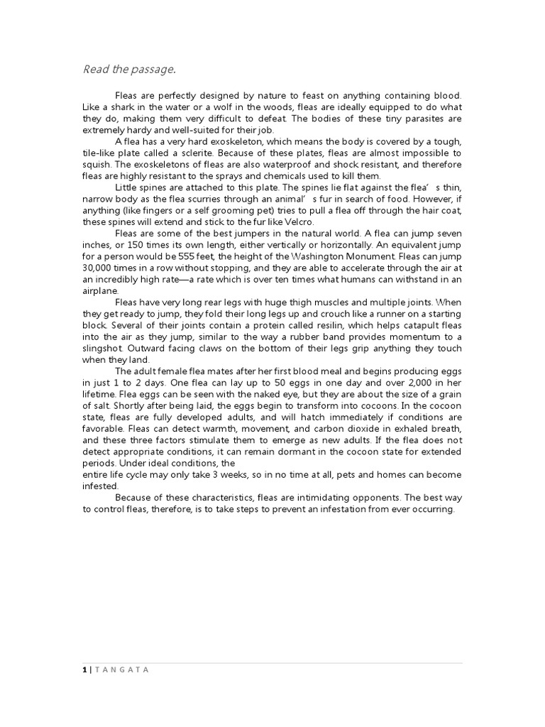 Reading Comprehension 1 | PDF | Zoology