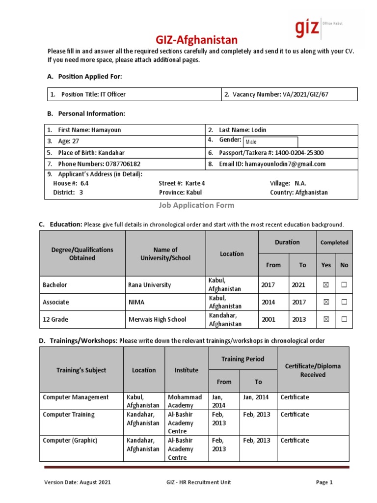 GIZ+Job+Application+Form Hamayoun Lodin | PDF | Computing