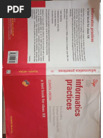 Information Practices IP Class 12 Full Book Preeti Arora High Quality | PDF