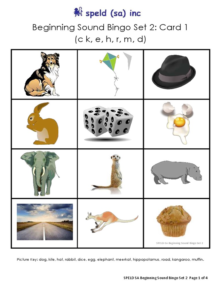 SPELD SA Beginning Sound Bingo Cards Set 2 | PDF
