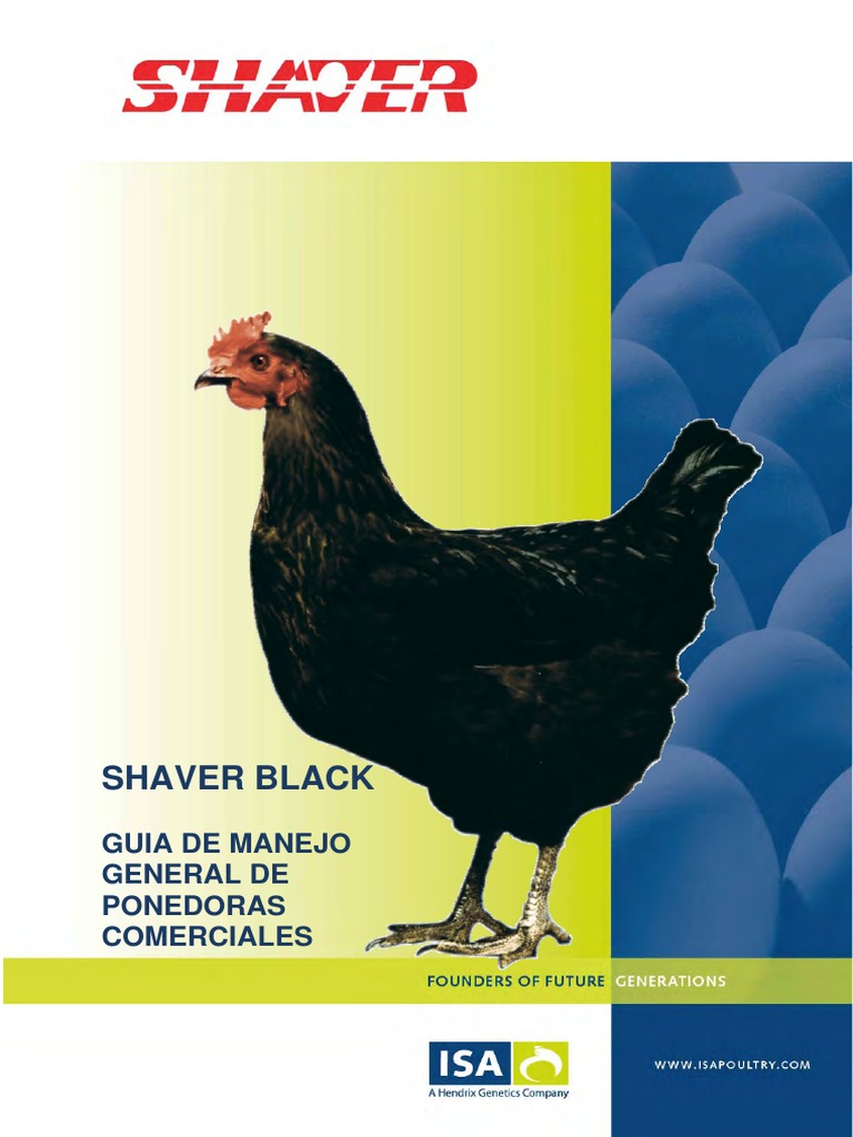 Manejo de Gallinas Shaver Black | PDF | Aves | Encendiendo