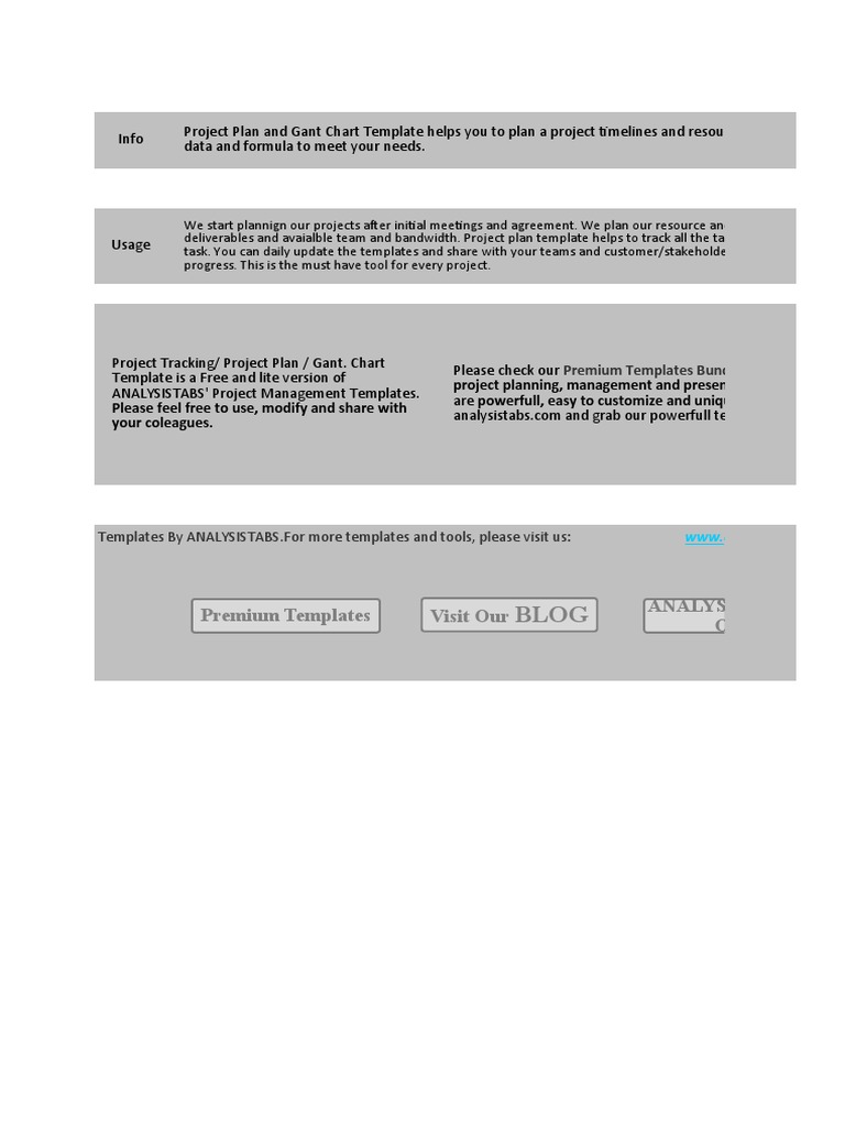 ANALYSISTABS Project Plan Template | PDF | Information Technology ...
