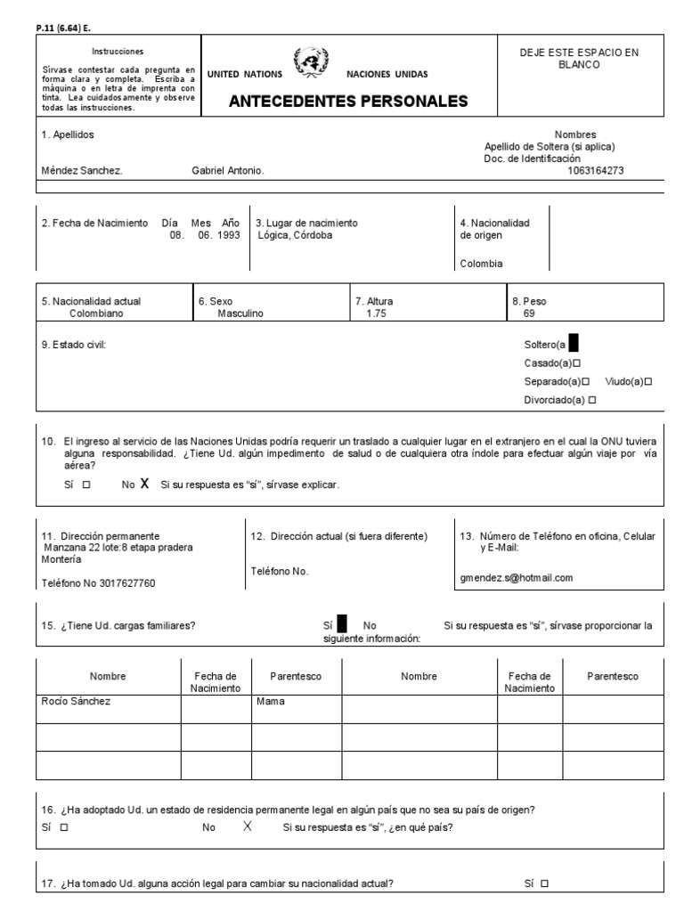 Formato P11 | PDF | Naciones Unidas | Relaciones Internacionales