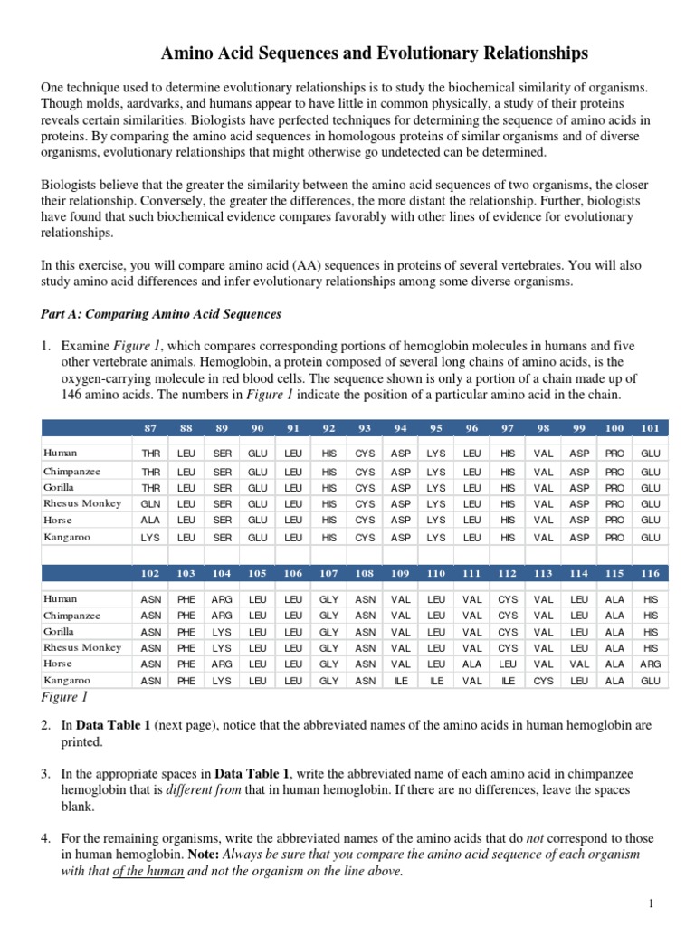 Hamilton-APBiologyAMIDay6 7 | PDF | Proteins | Amino Acid